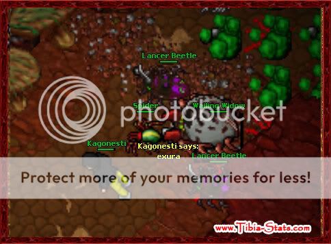 Tibia 8.6 Update! Screenshots, Teasers and Movies! Informationz | OTLand