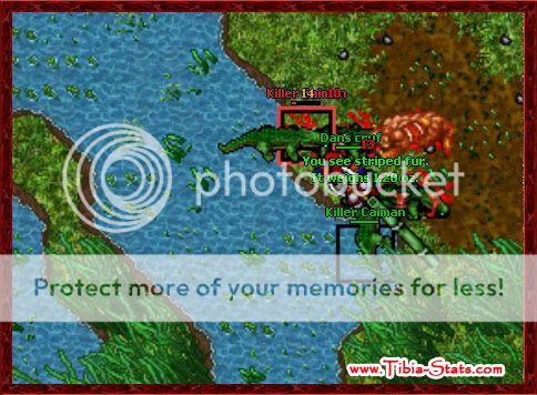 Tibia 8.6 Update! Screenshots, Teasers and Movies! Informationz | OTLand