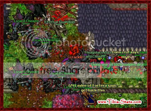 Tibia 8.6 Update! Screenshots, Teasers and Movies! Informationz | OTLand