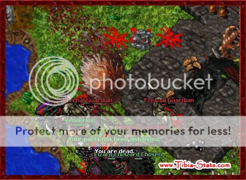 Tibia 8.6 Update! Screenshots, Teasers and Movies! Informationz | OTLand