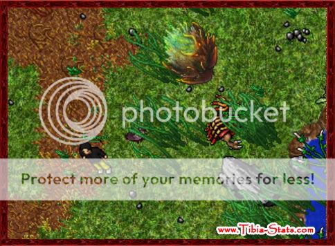 Tibia 8.6 Update! Screenshots, Teasers and Movies! Informationz | OTLand