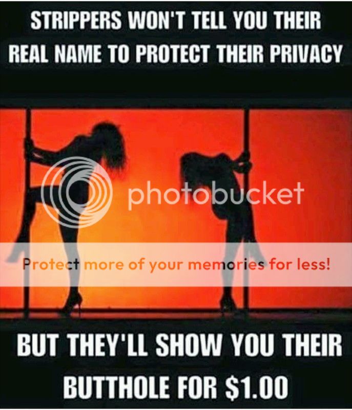 Rifle recommendation for a newbie that doesn't reload - 24hourcampfire