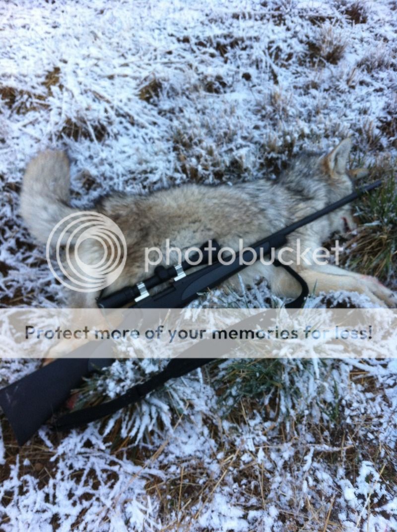 Nonresident ripoff - 24hourcampfire