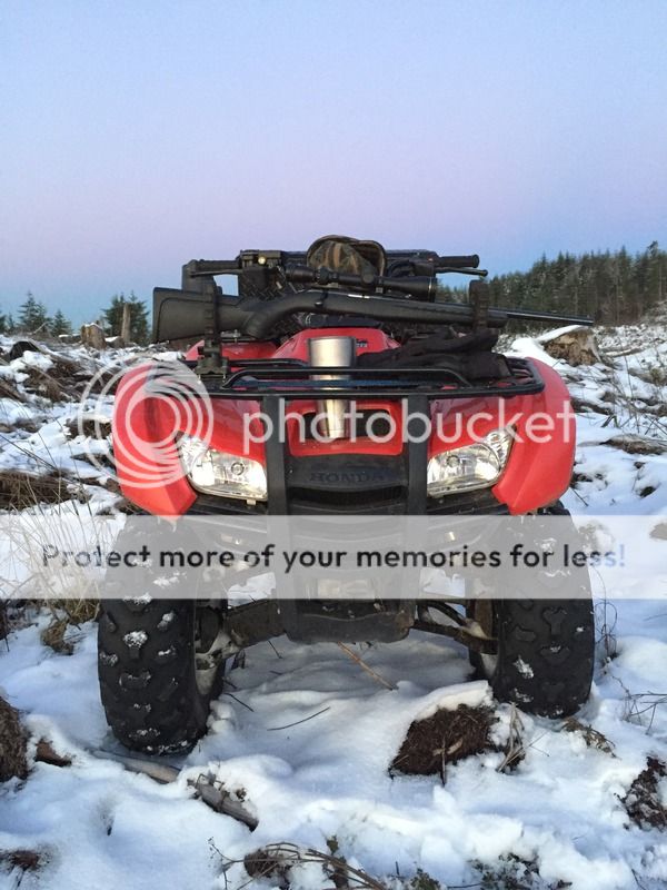 Rifle recommendation for a newbie that doesn't reload - 24hourcampfire