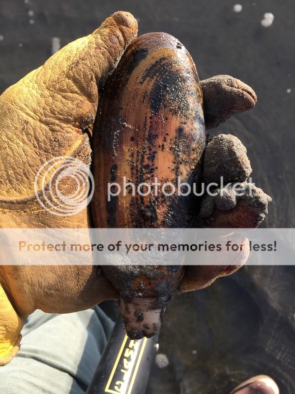 PRIME Time............... - 24hourcampfire